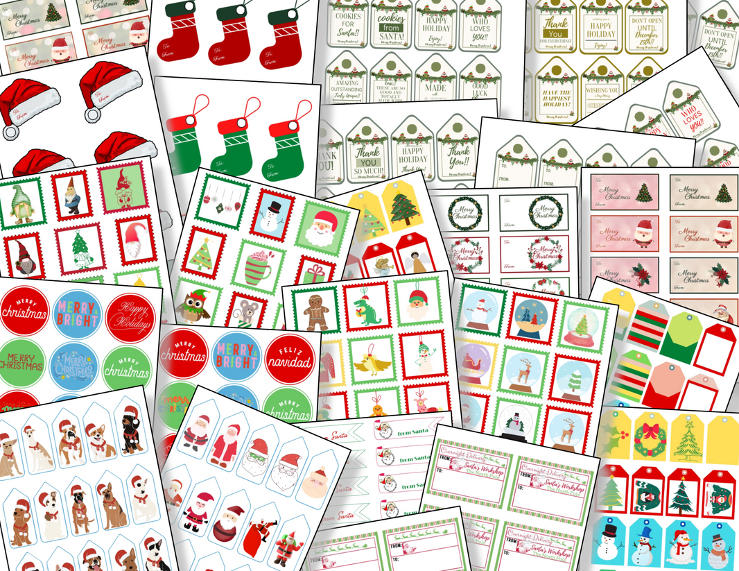 Organized 31 Organizing Vault – Organized 31 Shop
